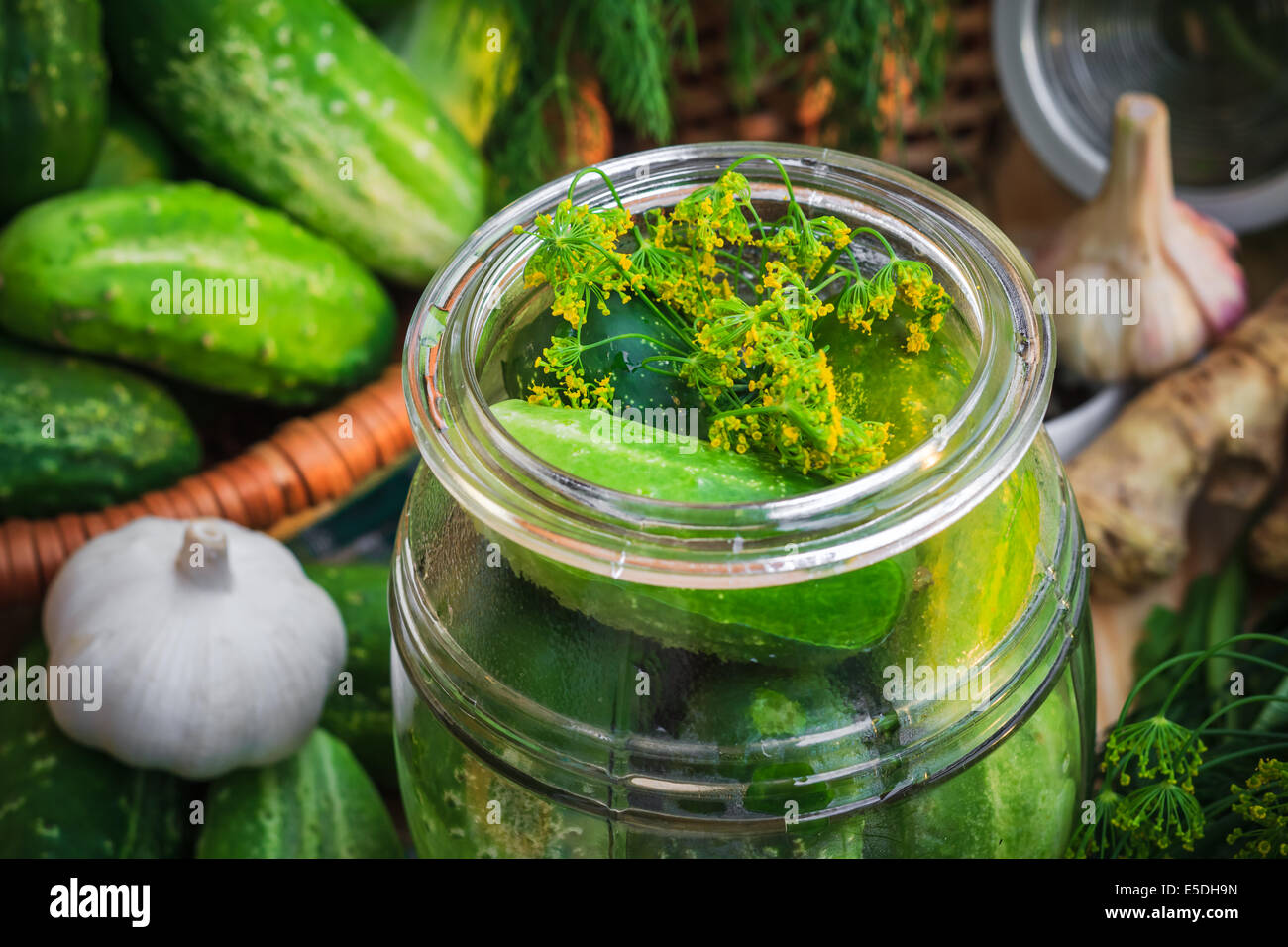 Closeup green fresh pickles hi-res stock photography and images - Alamy