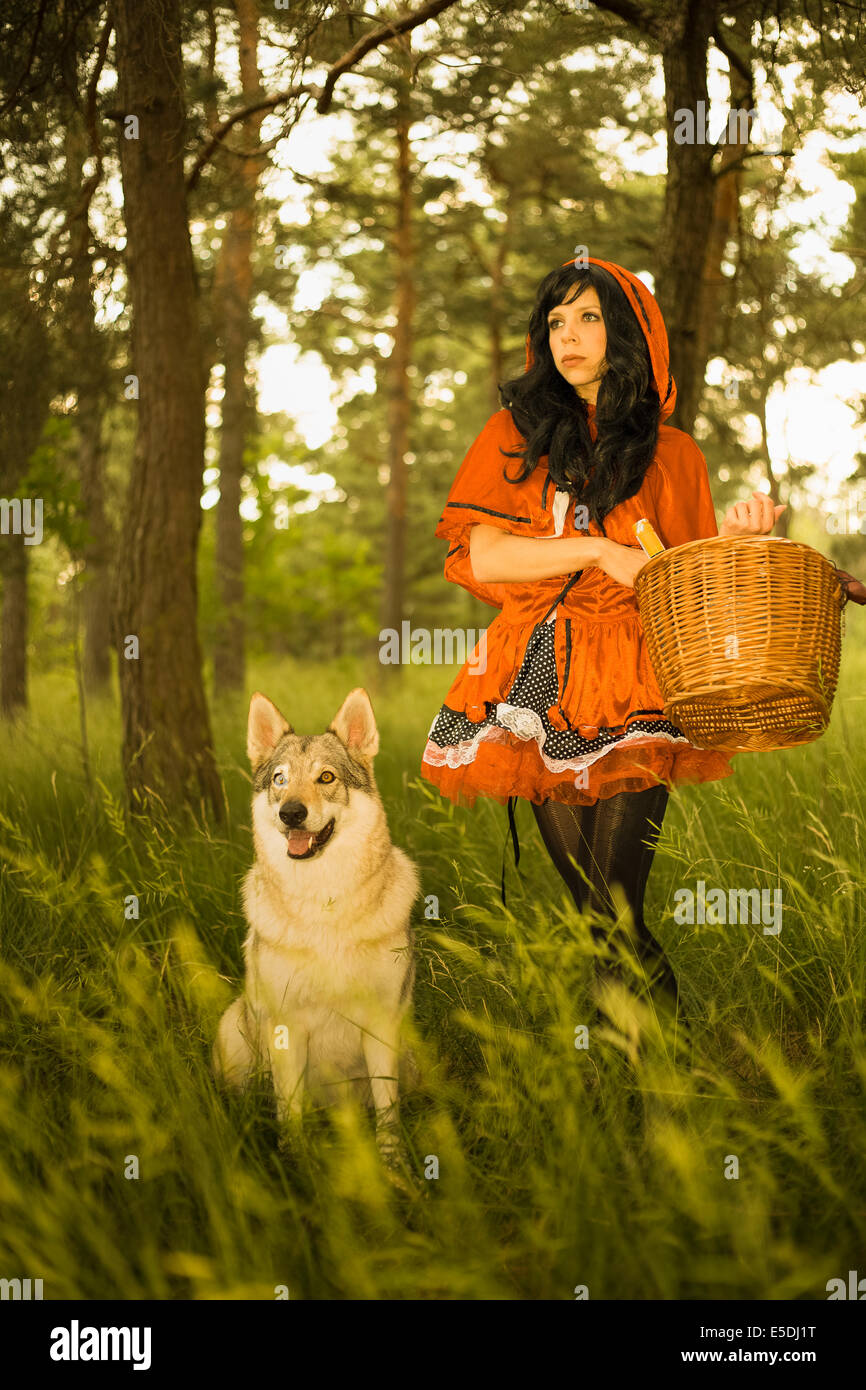 Red Riding Hood standing besides the wolf Stock Photo - Alamy