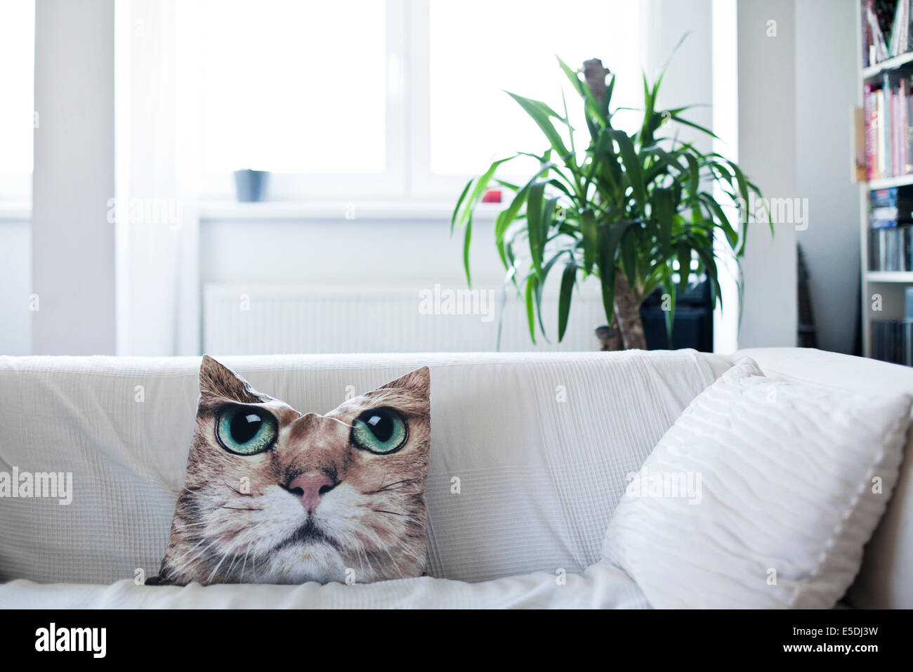 Living room with funny sofa cushion Stock Photo - Alamy