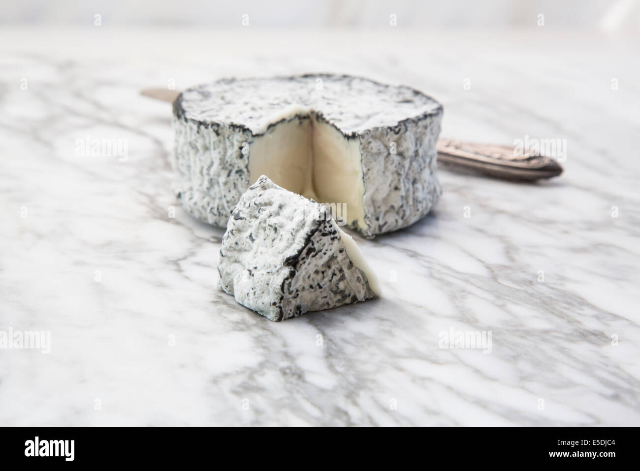 Rind of ash hi-res stock photography and images - Alamy