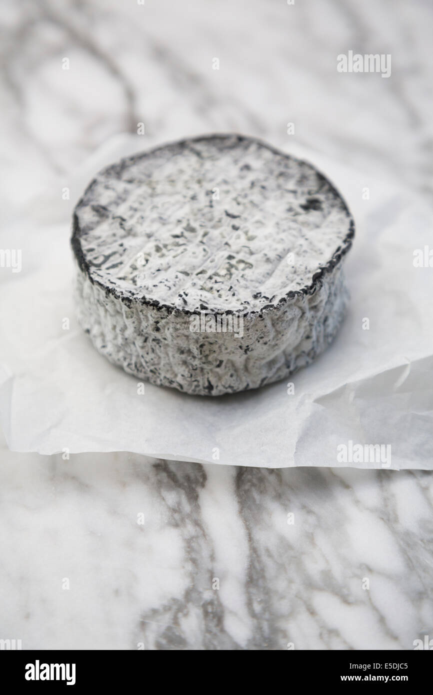 Rind of ash hi-res stock photography and images - Alamy