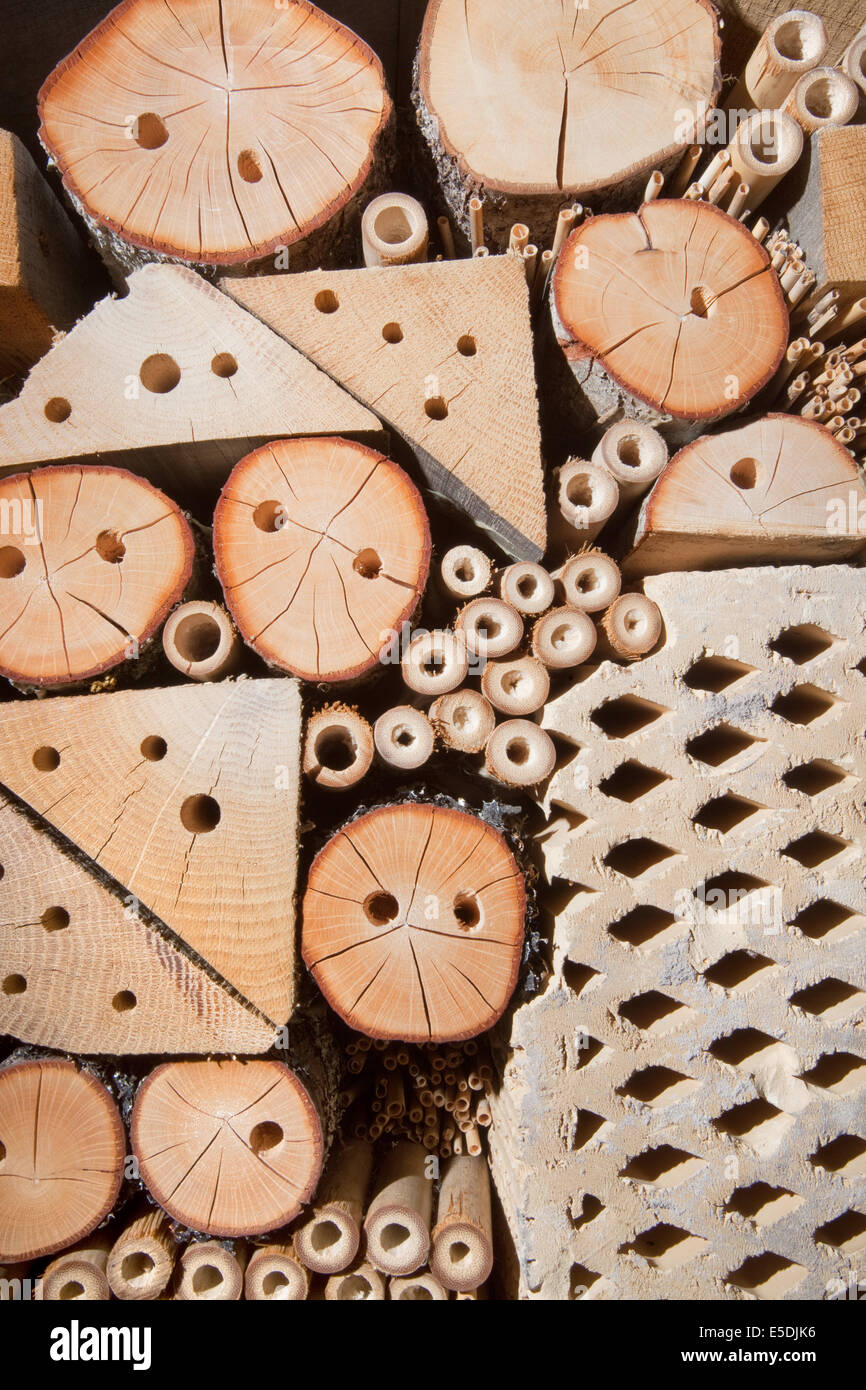 Bee hotel to support pollination of garden plants Stock Photo - Alamy