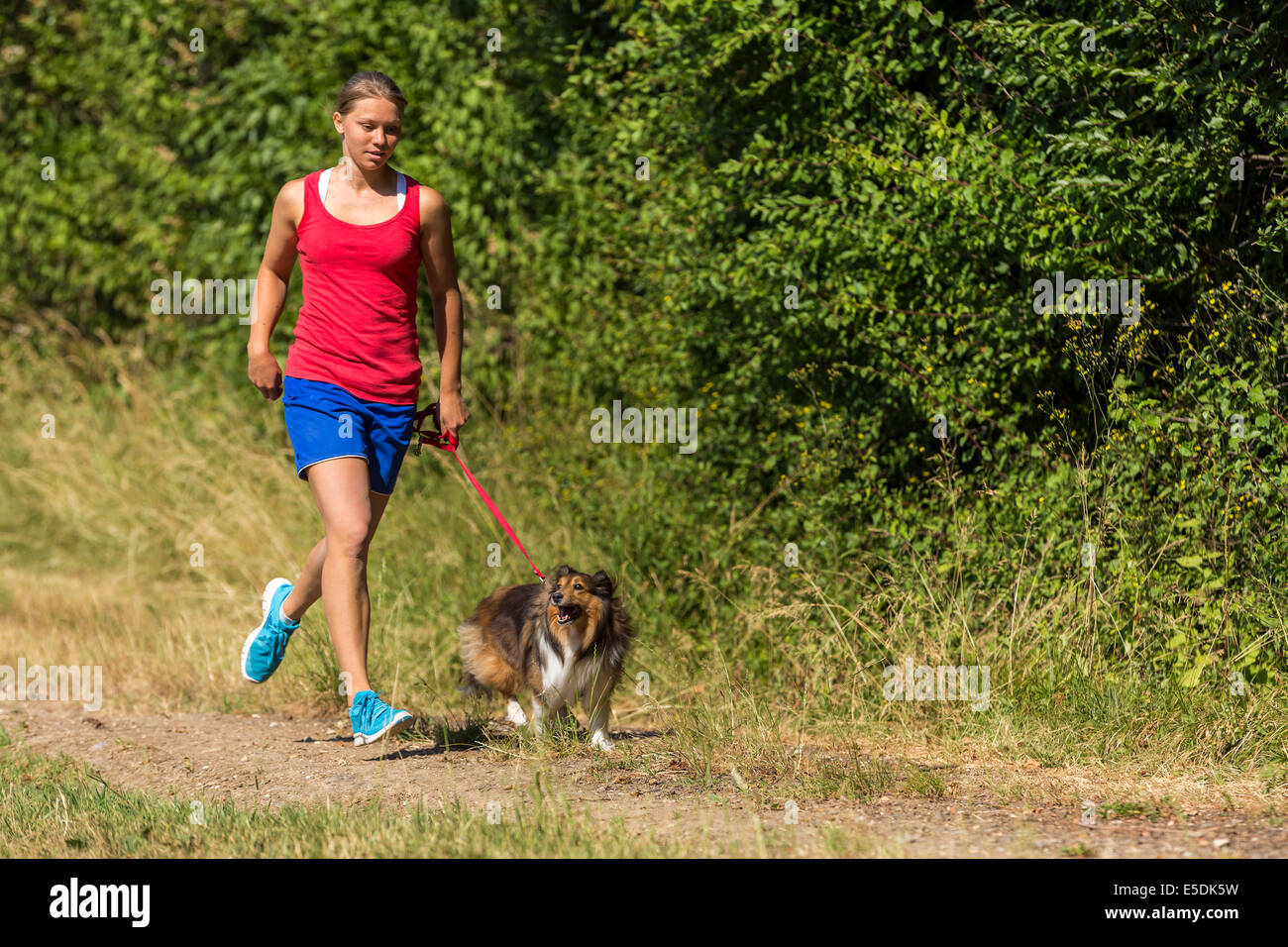 Young woman jogging with dog on field path Stock Photo - Alamy