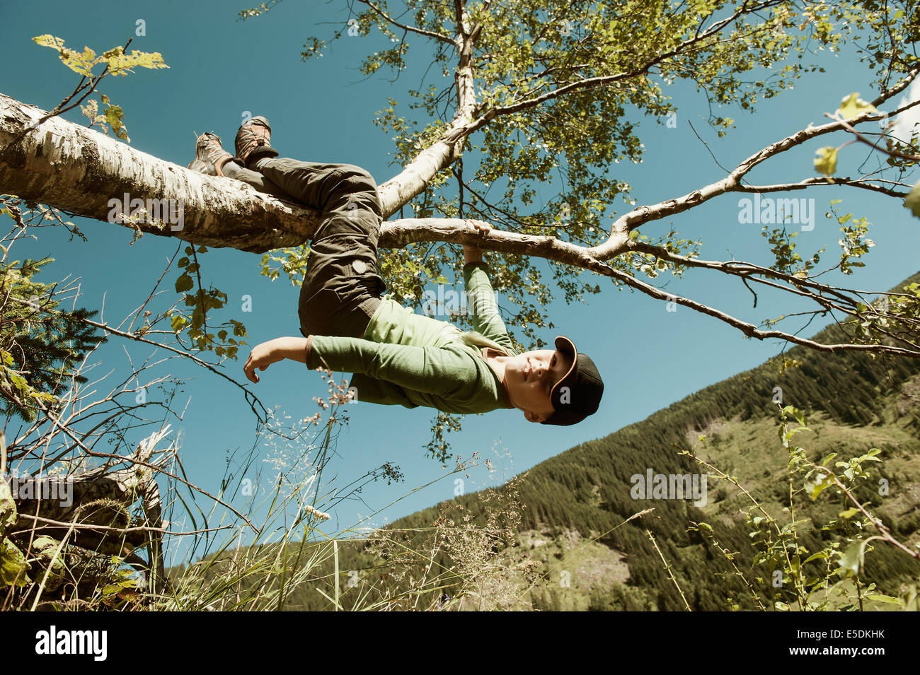 Boy hanging on branch of a tree Stock Photo - Alamy