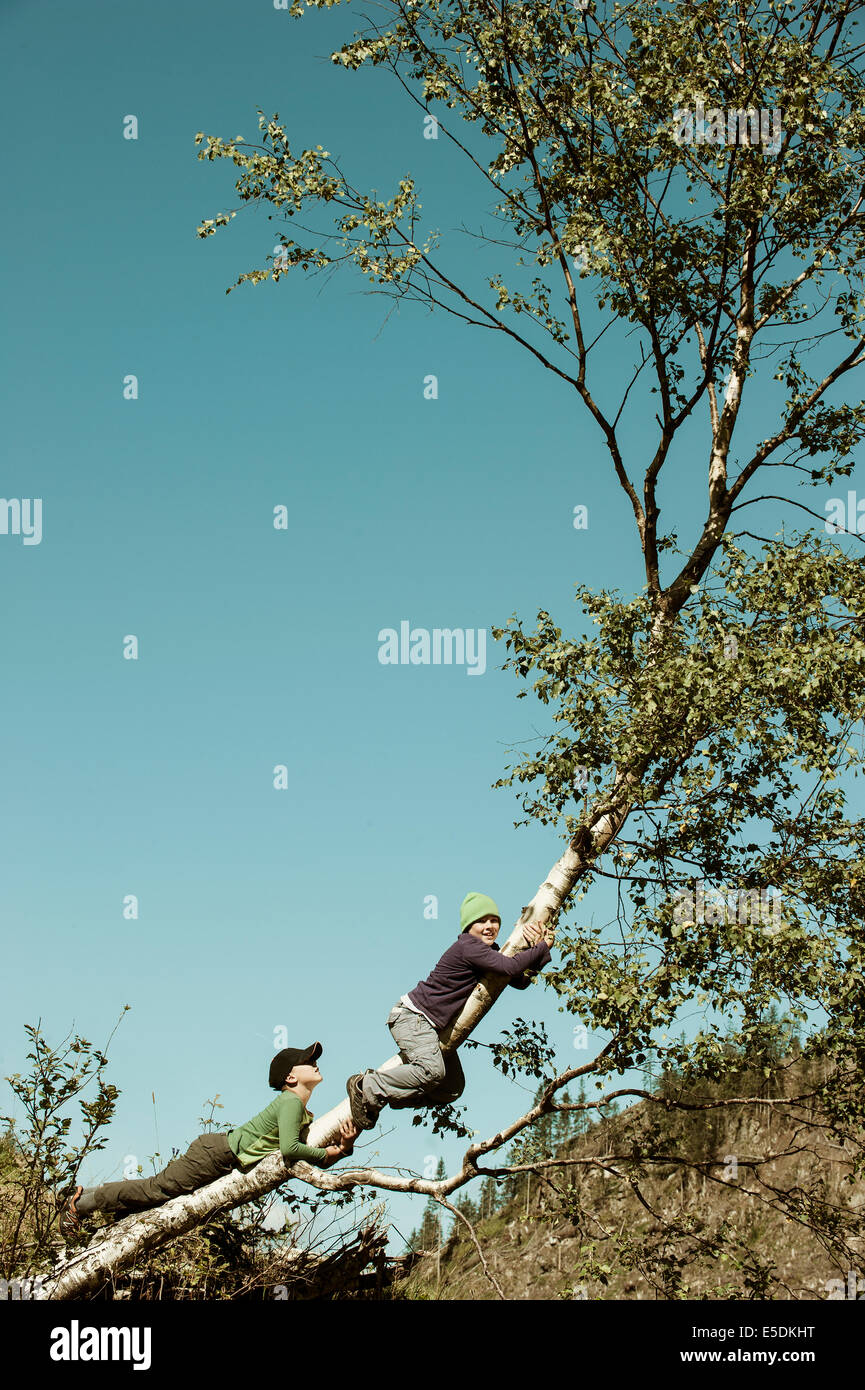 Two boys climbing on tree Stock Photo - Alamy