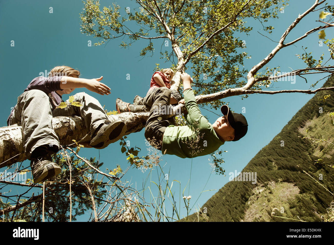Two boys hanging on tree hi-res stock photography and images - Alamy