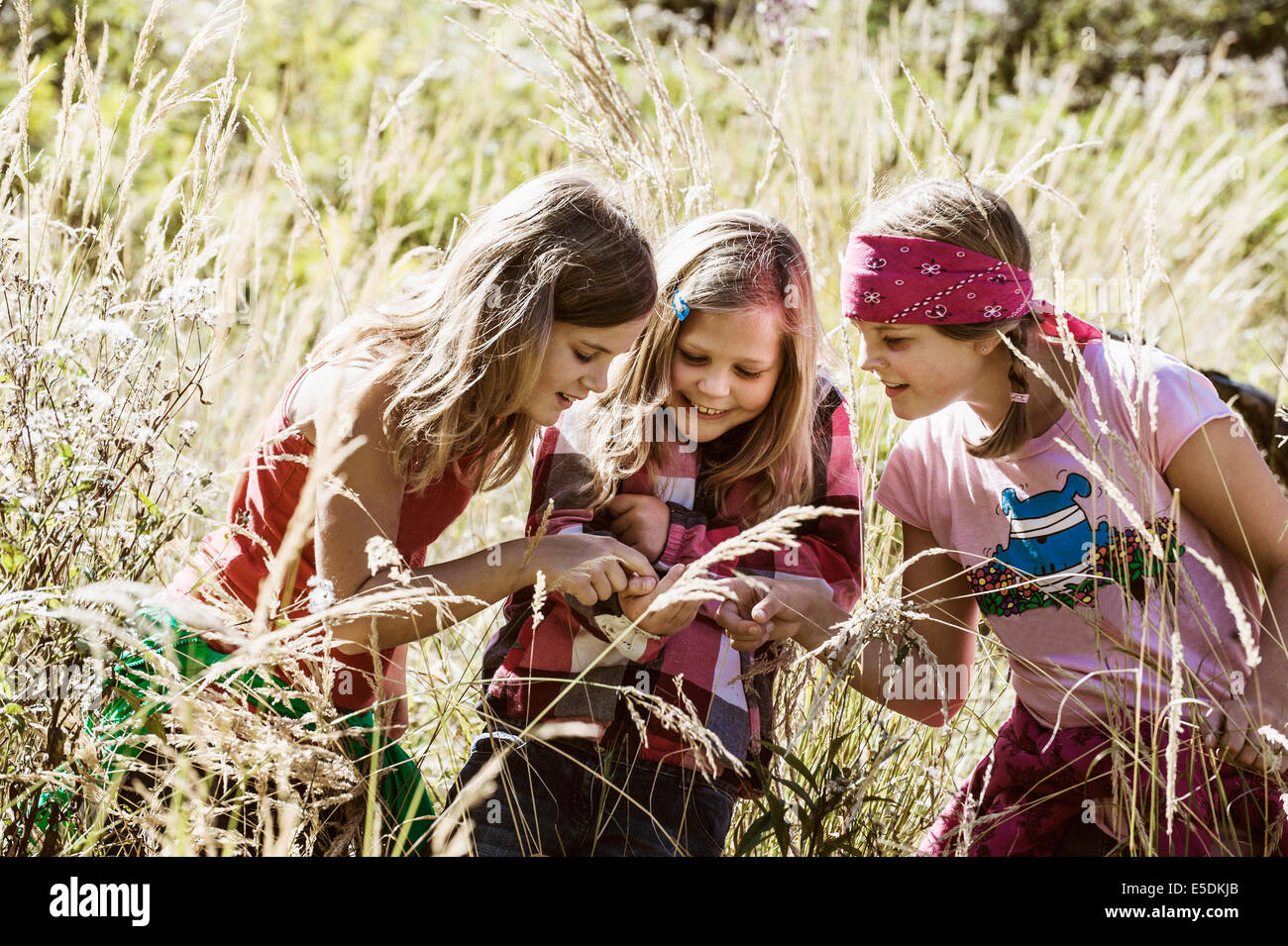 Three girls exploring the nature Stock Photo - Alamy