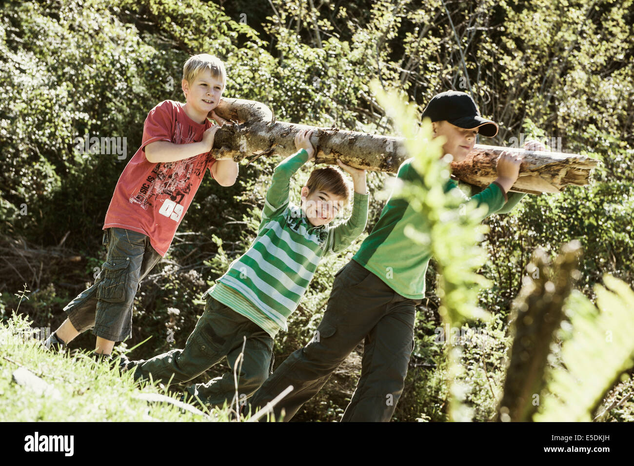 Three boys carrying log in the nature Stock Photo - Alamy