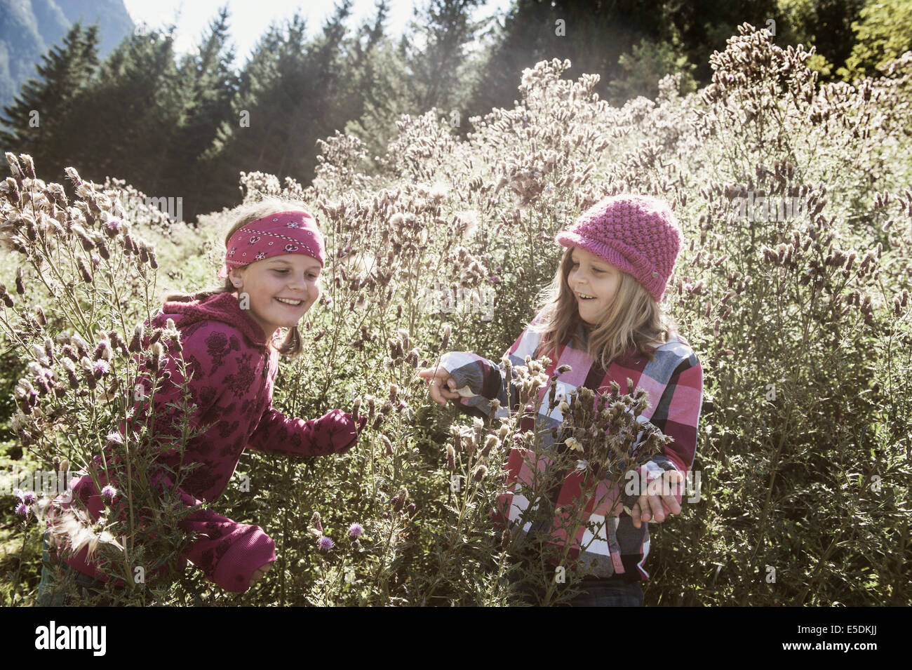 Two girls exploring the nature Stock Photo - Alamy