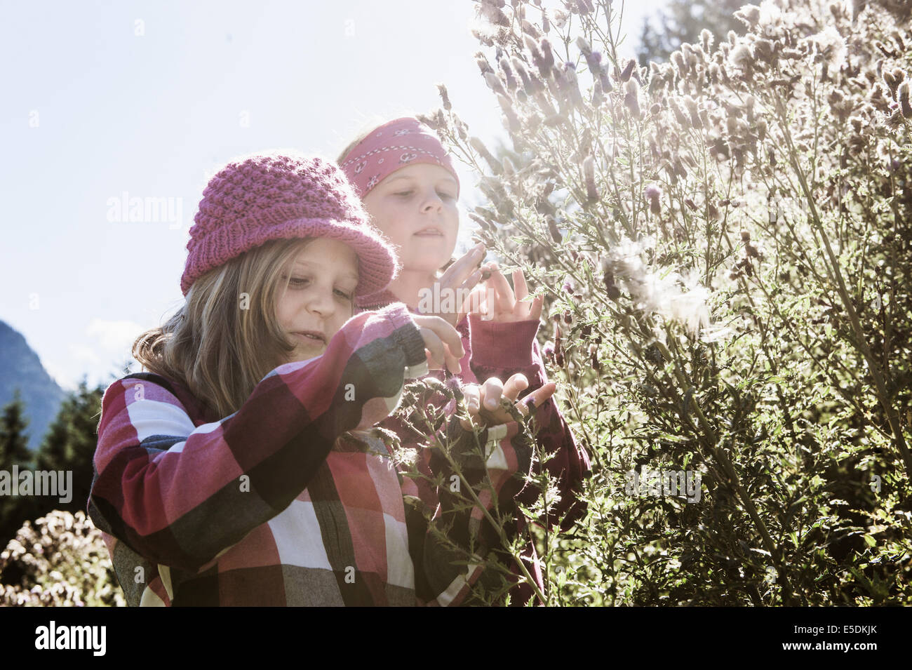 Two girls exploring the nature Stock Photo - Alamy