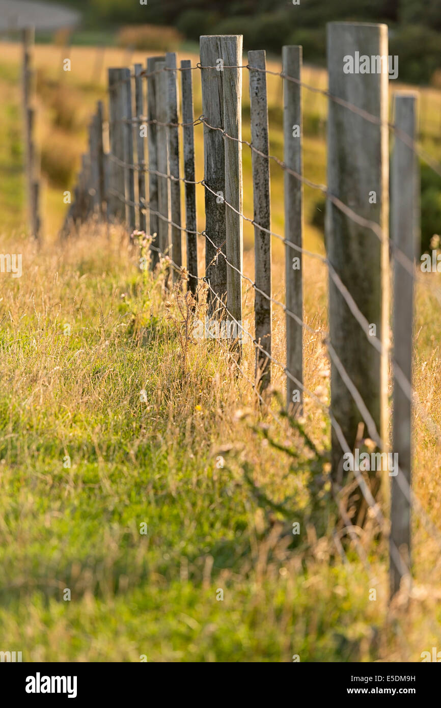 New Zealand, Tasman, Golden Bay, Puponga, old fence on a meadow in the ...