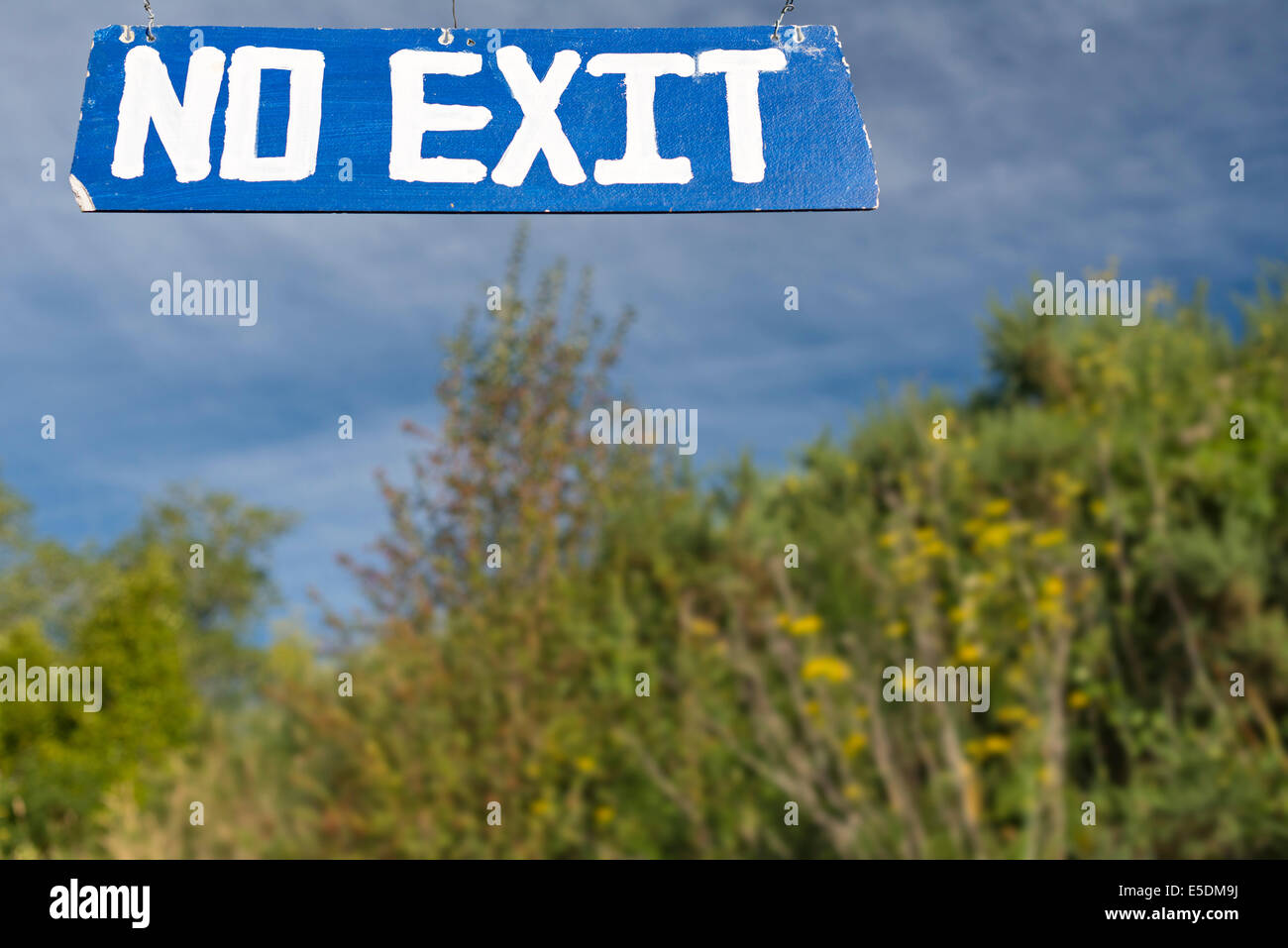 New Zealand, Nelson, no exit sign and shrub Stock Photo - Alamy