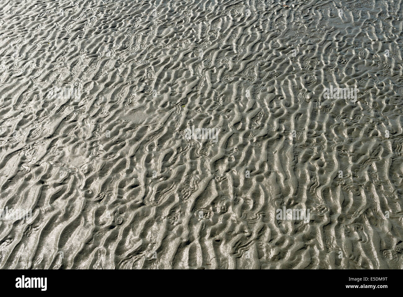 New Zealand, Nelson, structure in the sand at Tahunanui beach at low ...