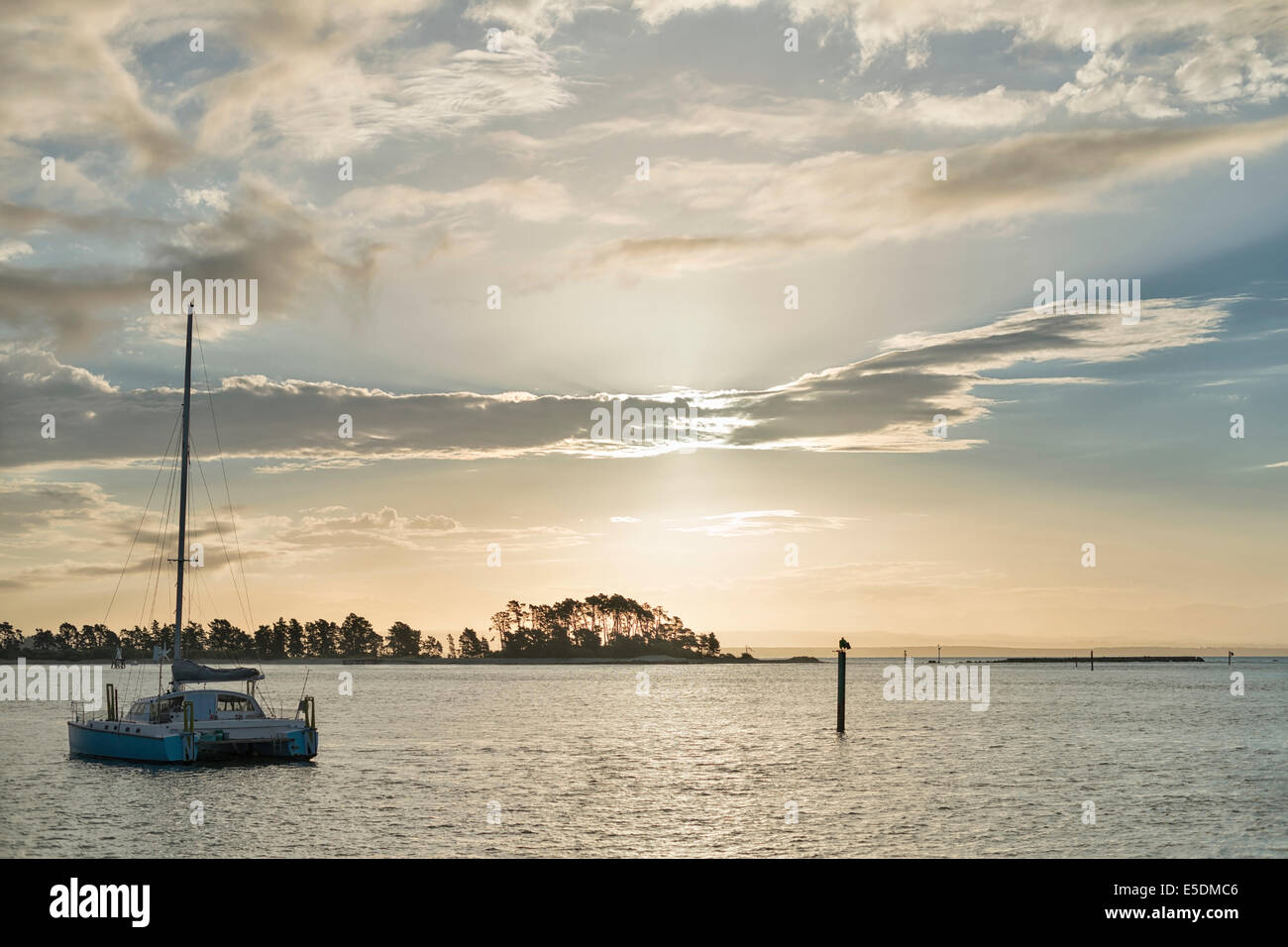 Nelson in new zealand hi-res stock photography and images - Alamy