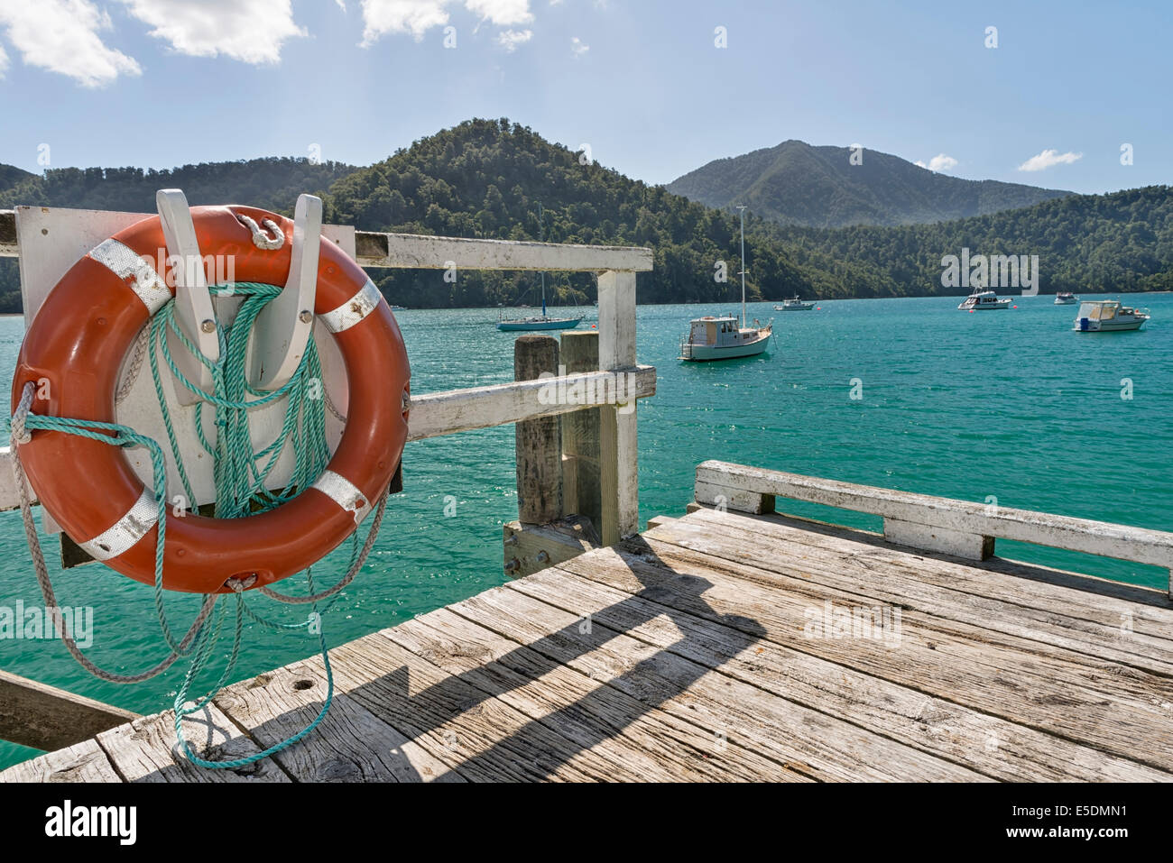 New Zealand, South Island, Marlborough Sounds, Tennyson Inlet ...