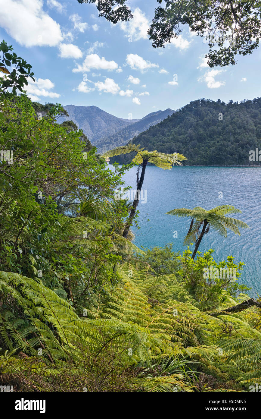 Tennyson Inlet New Zealand High Resolution Stock Photography and Images ...