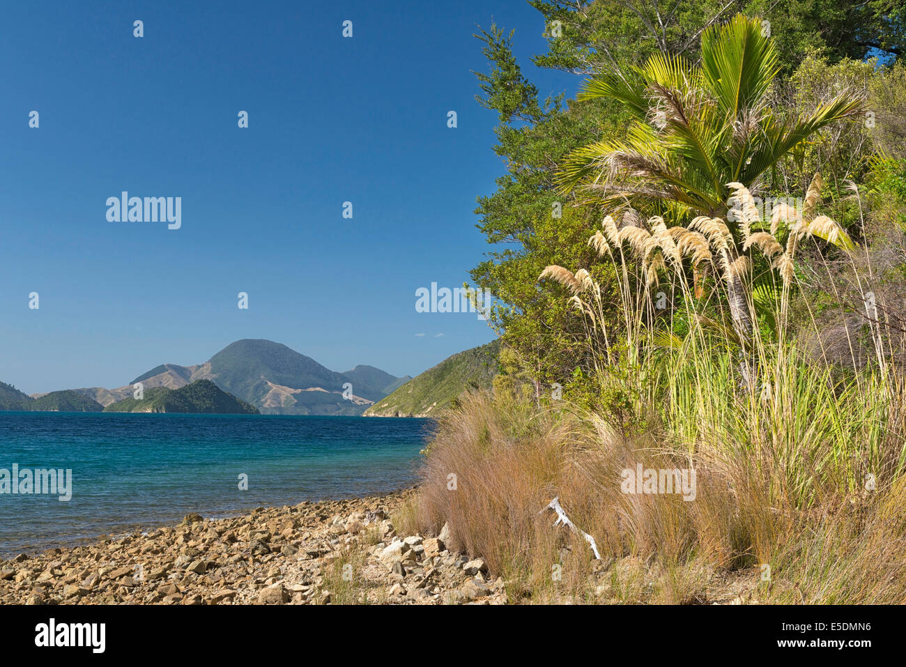 New Zealand, South Island, Marlborough Sounds, Tennyson Inlet ...
