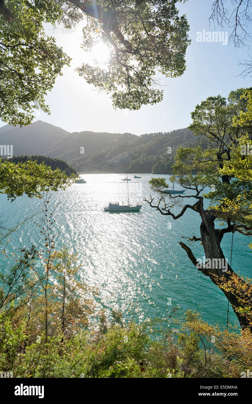 New Zealand, South Island, Marlborough Sounds, Tennyson Inlet, sounds ...