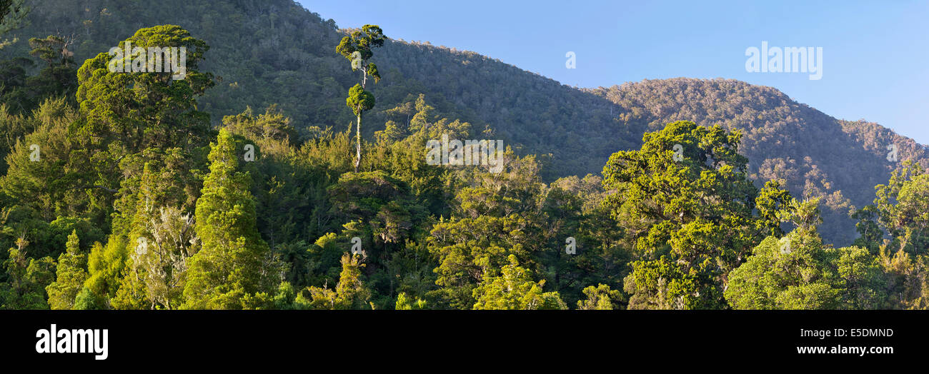 Tennyson inlet new zealand hi-res stock photography and images - Alamy