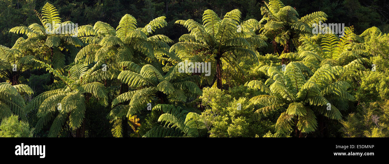 Tennyson inlet new zealand hi-res stock photography and images - Alamy