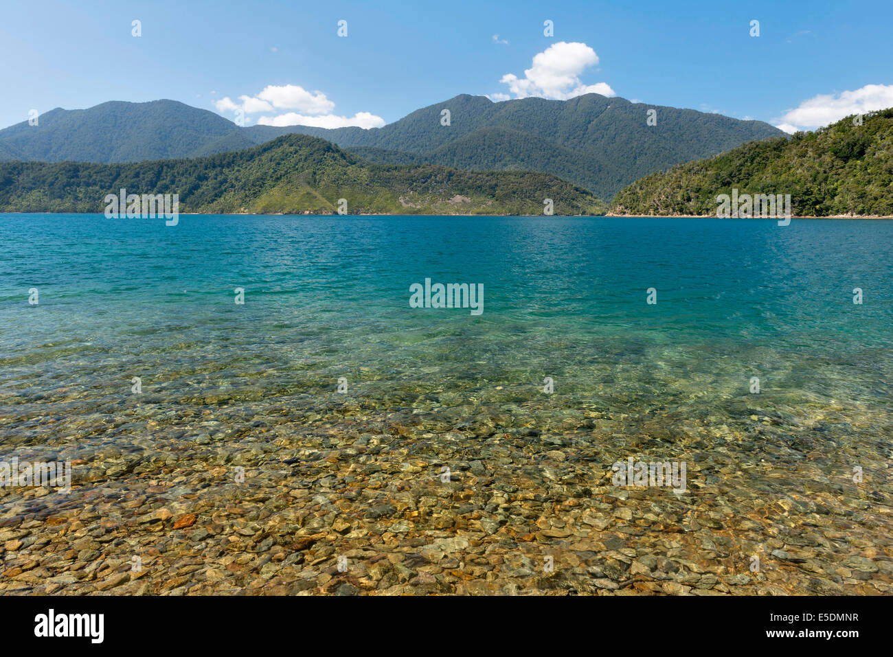 Tennyson inlet new zealand hi-res stock photography and images - Alamy