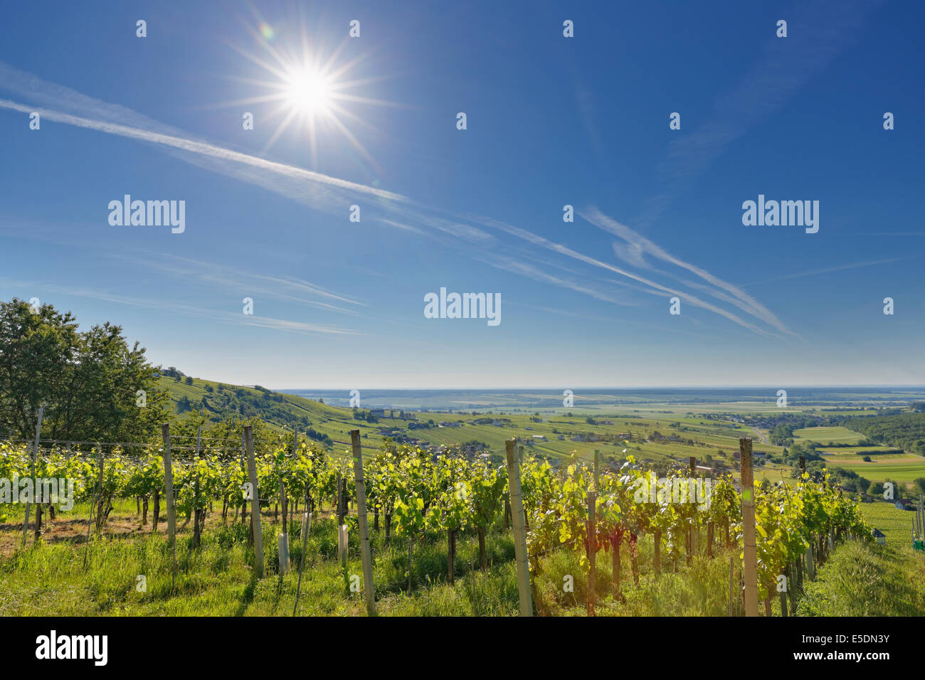 Oberwart hi-res stock photography and images - Alamy