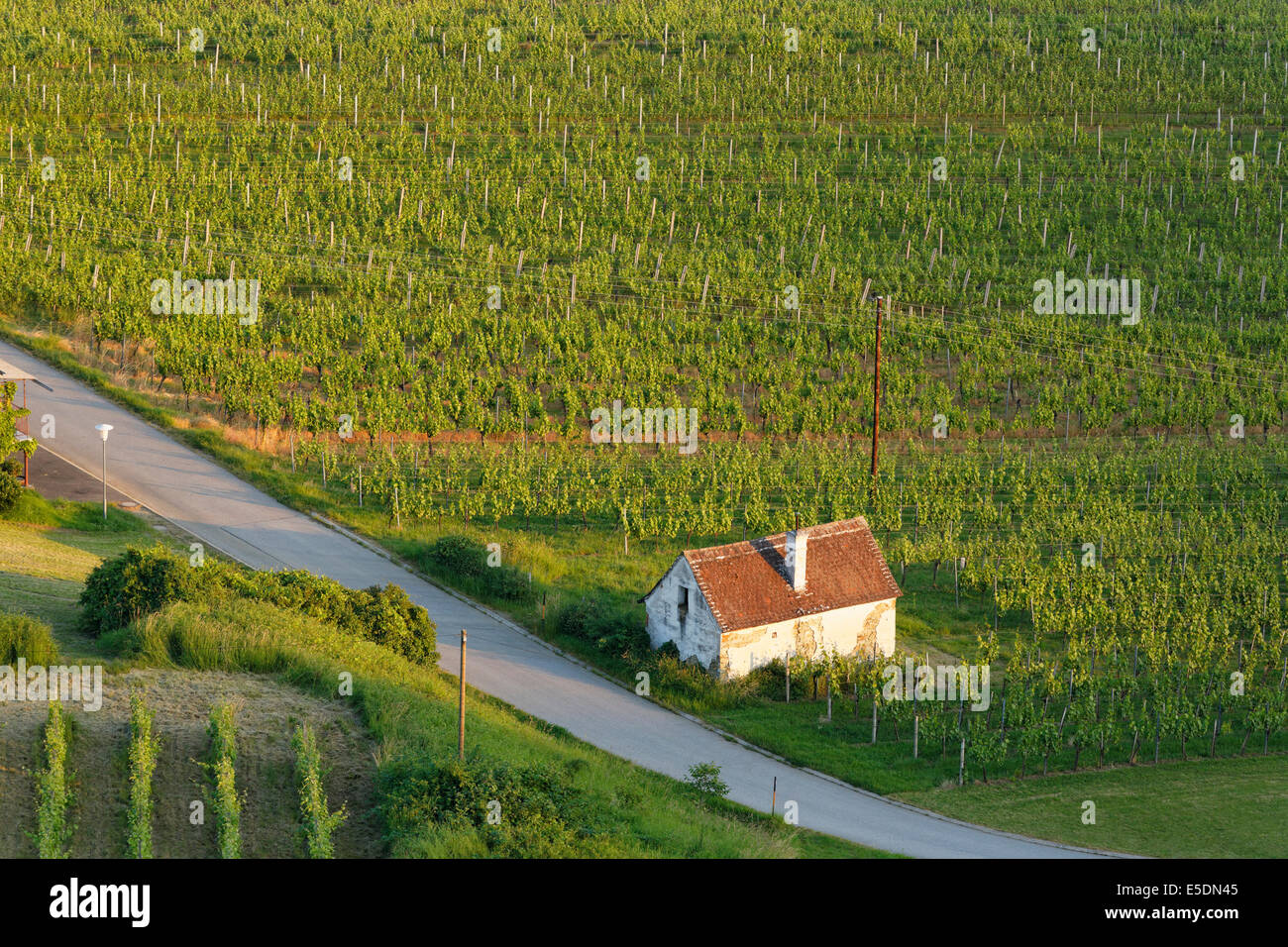 Oberwart hi-res stock photography and images - Alamy