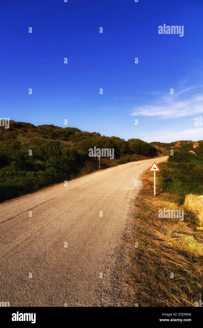 Caution sign cow hi-res stock photography and images - Alamy
