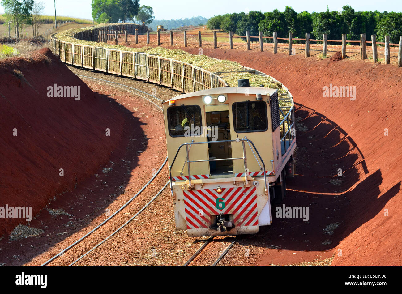 Sugar cane railway hi-res stock photography and images - Alamy