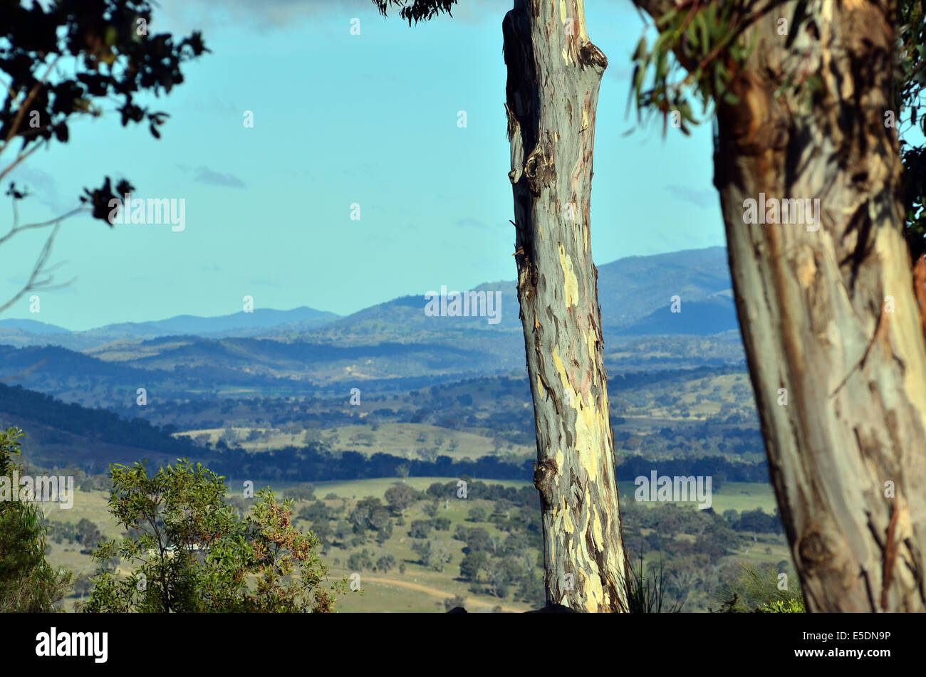Australian countryside view Stock Photo - Alamy
