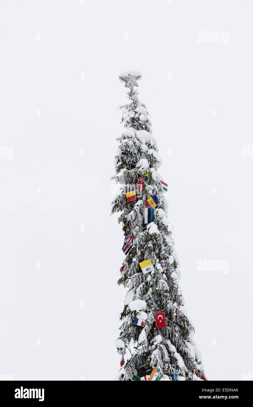 Scandinavia, Finland, Rovaniemi, Fir tree with different flags Stock ...
