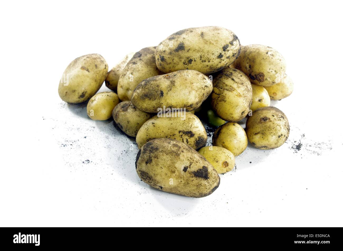 appetizing potato on white background Stock Photo - Alamy