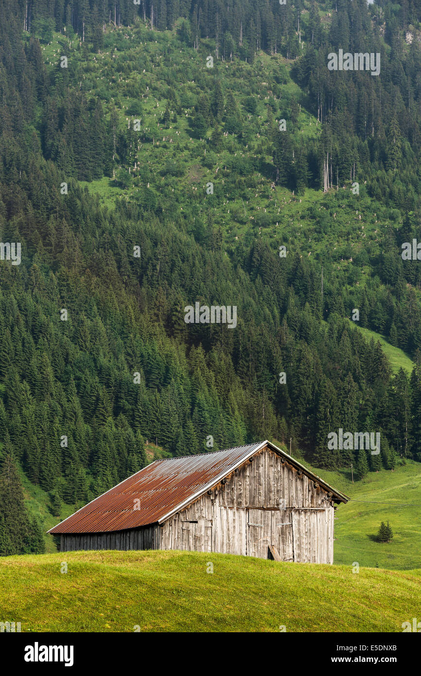 Austria, Allgaeu High Alps, wooden hut in Kleinwalsertal Stock Photo ...