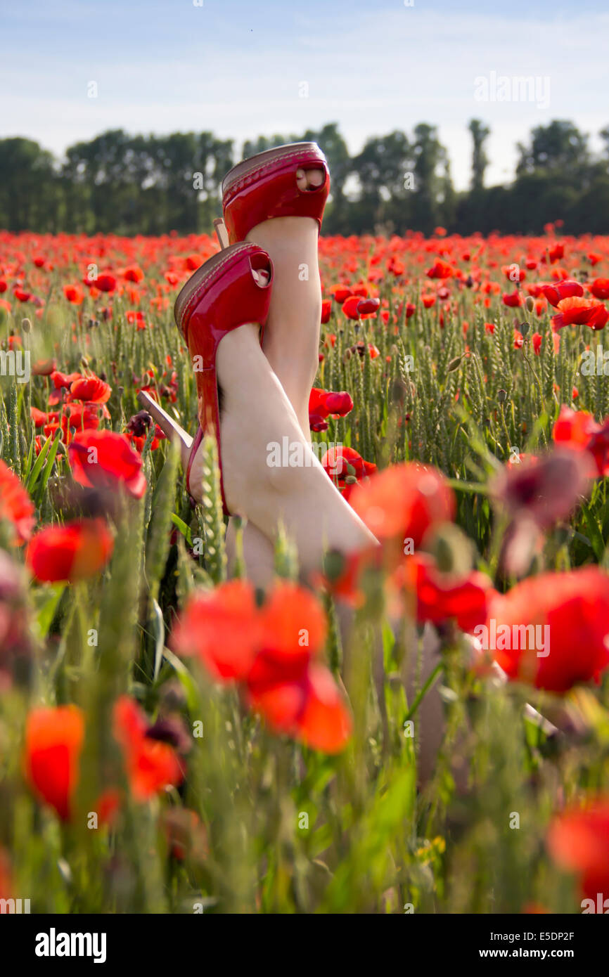 Feet of woman with red pumps in poppy field Stock Photo - Alamy