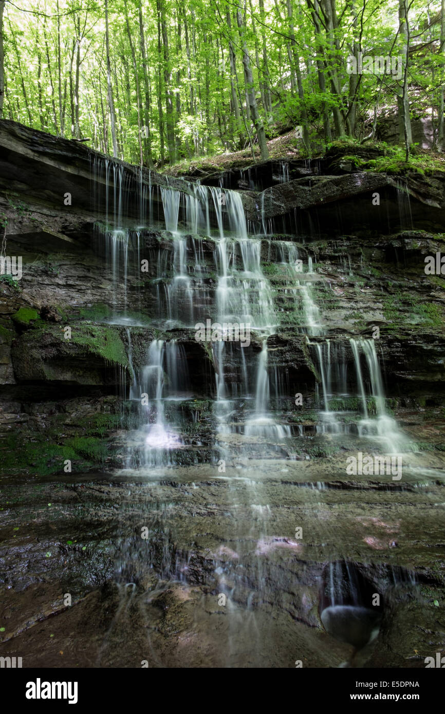 Water stream in a forest in Tuscany, Italy Stock Photo - Alamy