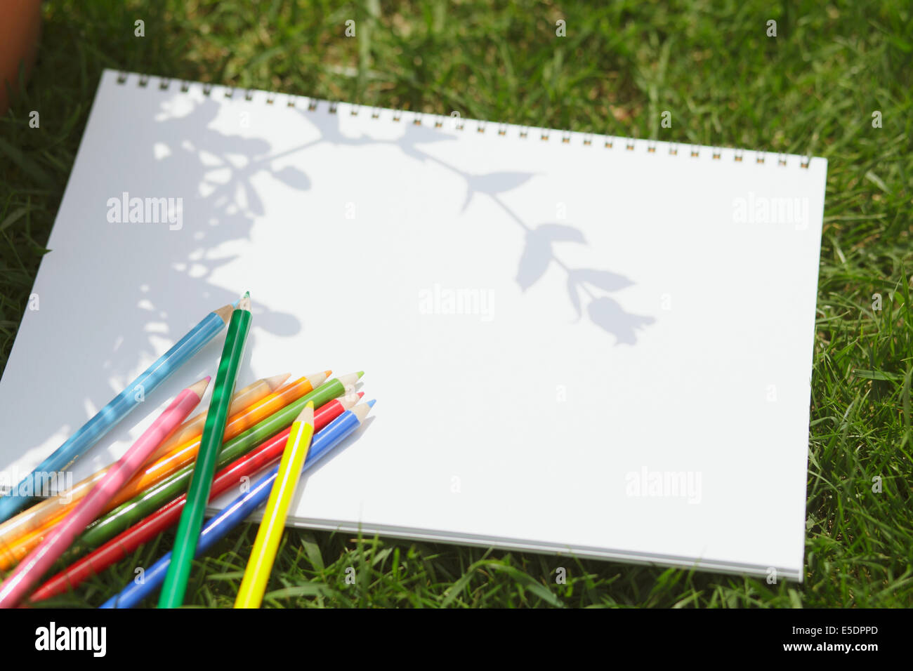 Colored pencil and sketchbook on grass Stock Photo - Alamy