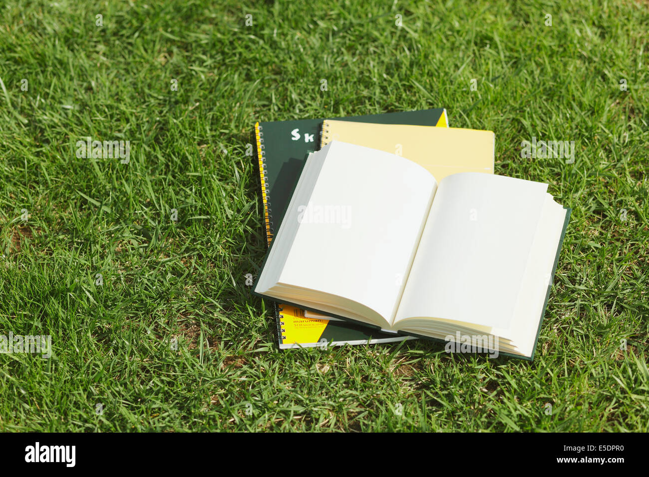 Book and notebooks on grass Stock Photo - Alamy