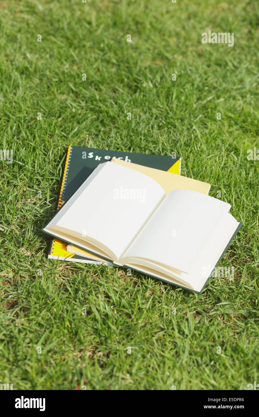 Book and notebooks on grass Stock Photo - Alamy