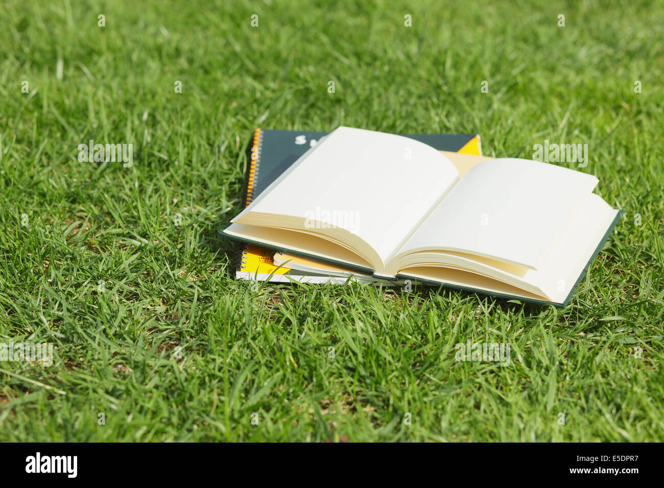 Book and notebooks on grass Stock Photo - Alamy