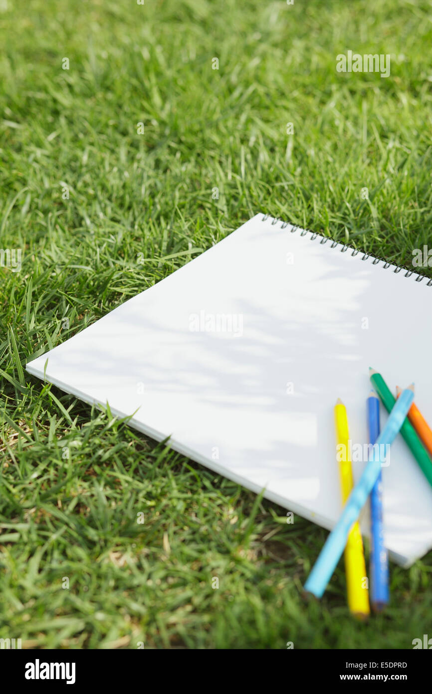 Colored pencil and sketchbook on grass Stock Photo - Alamy