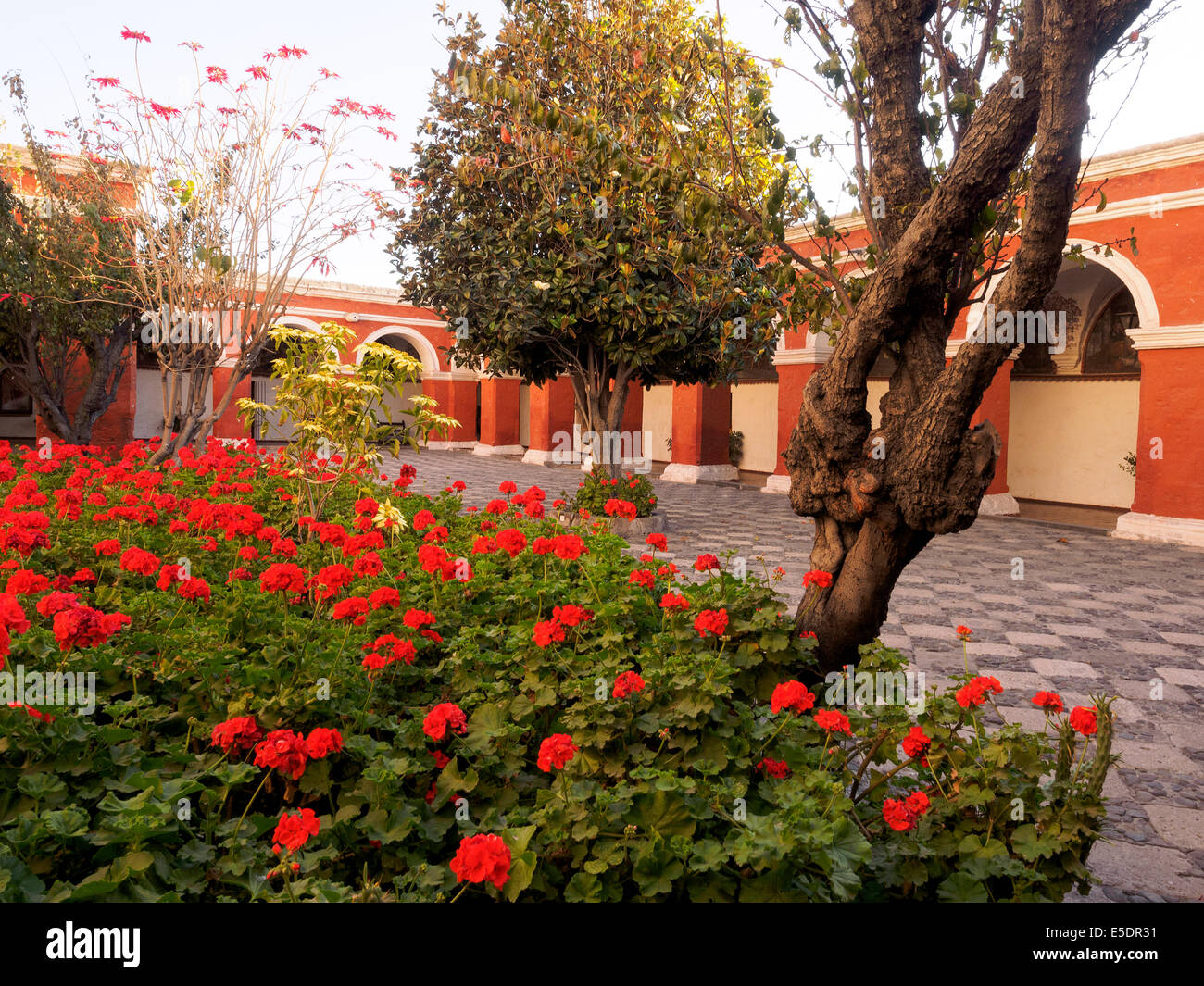Santa Catalina Monastery - Arequipa, Peru Stock Photo - Alamy