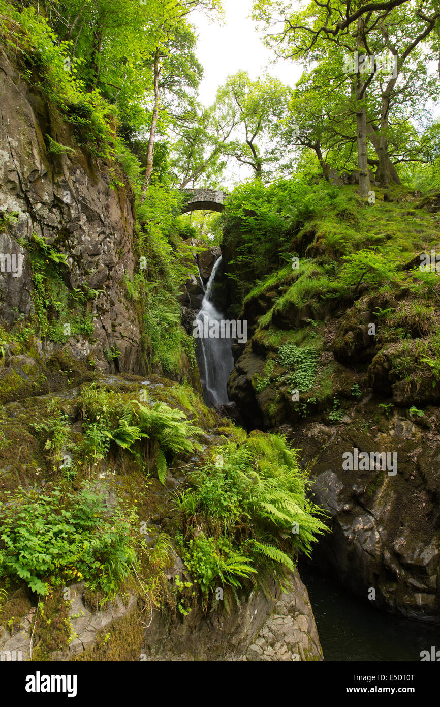 Aira Force waterfall Ullswater Valley Lake District Cumbria England UK ...