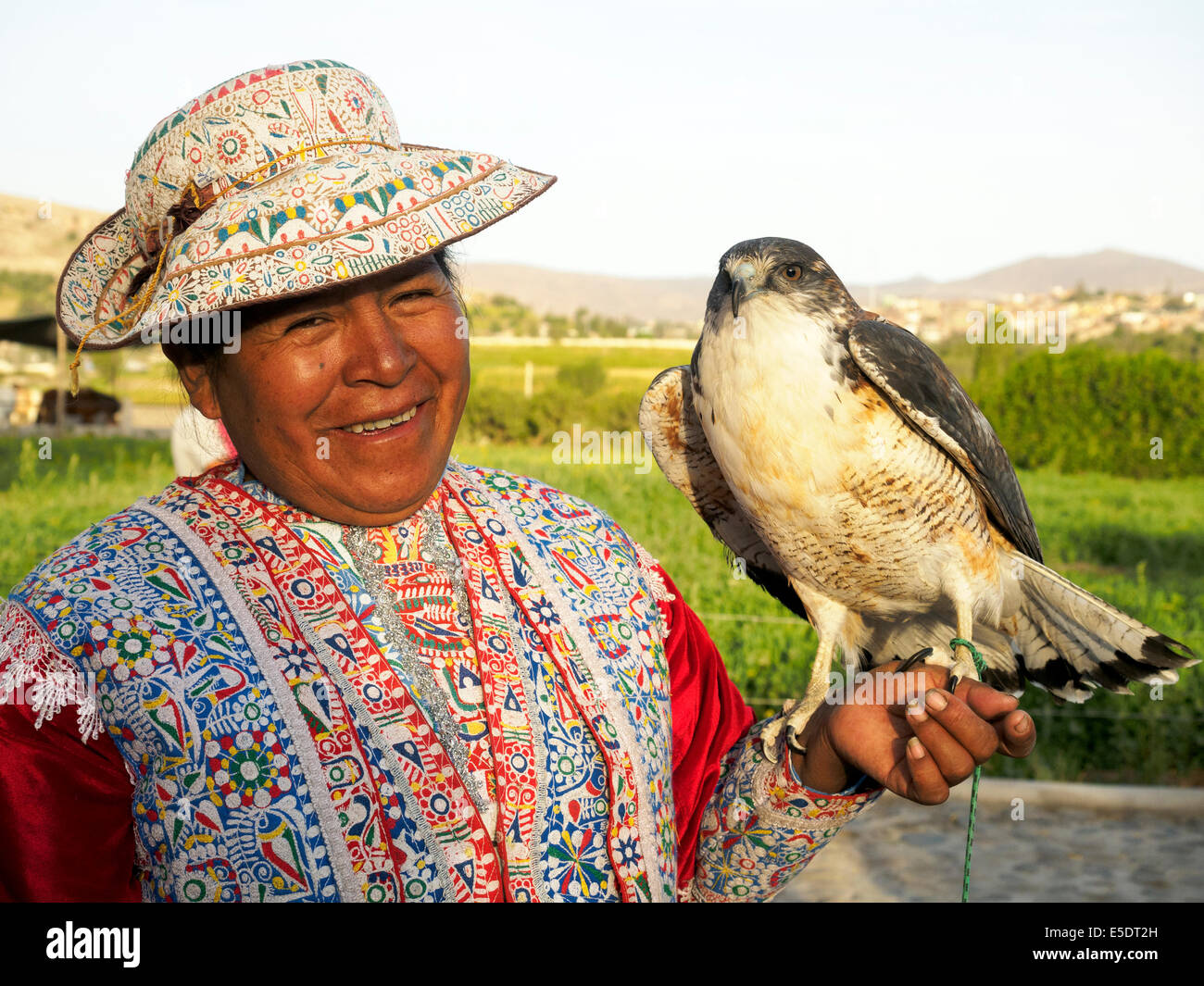Peruvian woman in traditional clothes with her hawk - Arequipa, Peru ...
