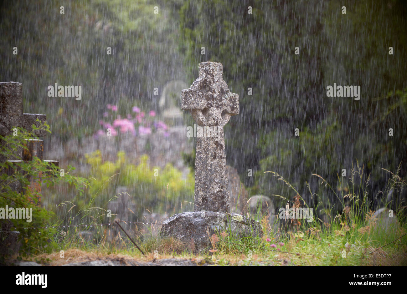Dramatic, moody churchyard scene taken in driving rain. Taken in ...