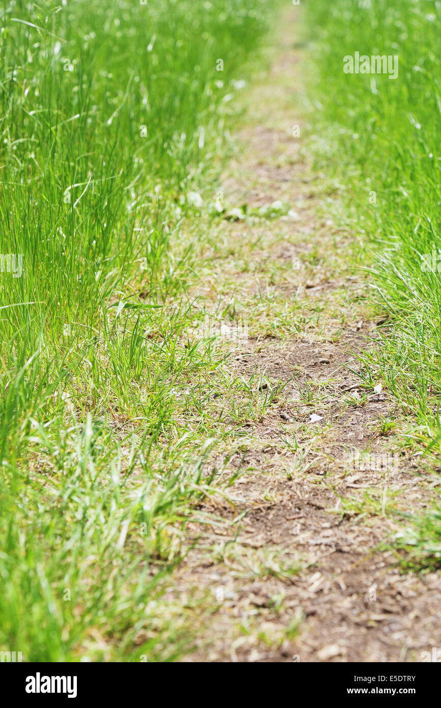 Dirt road and grass Stock Photo - Alamy
