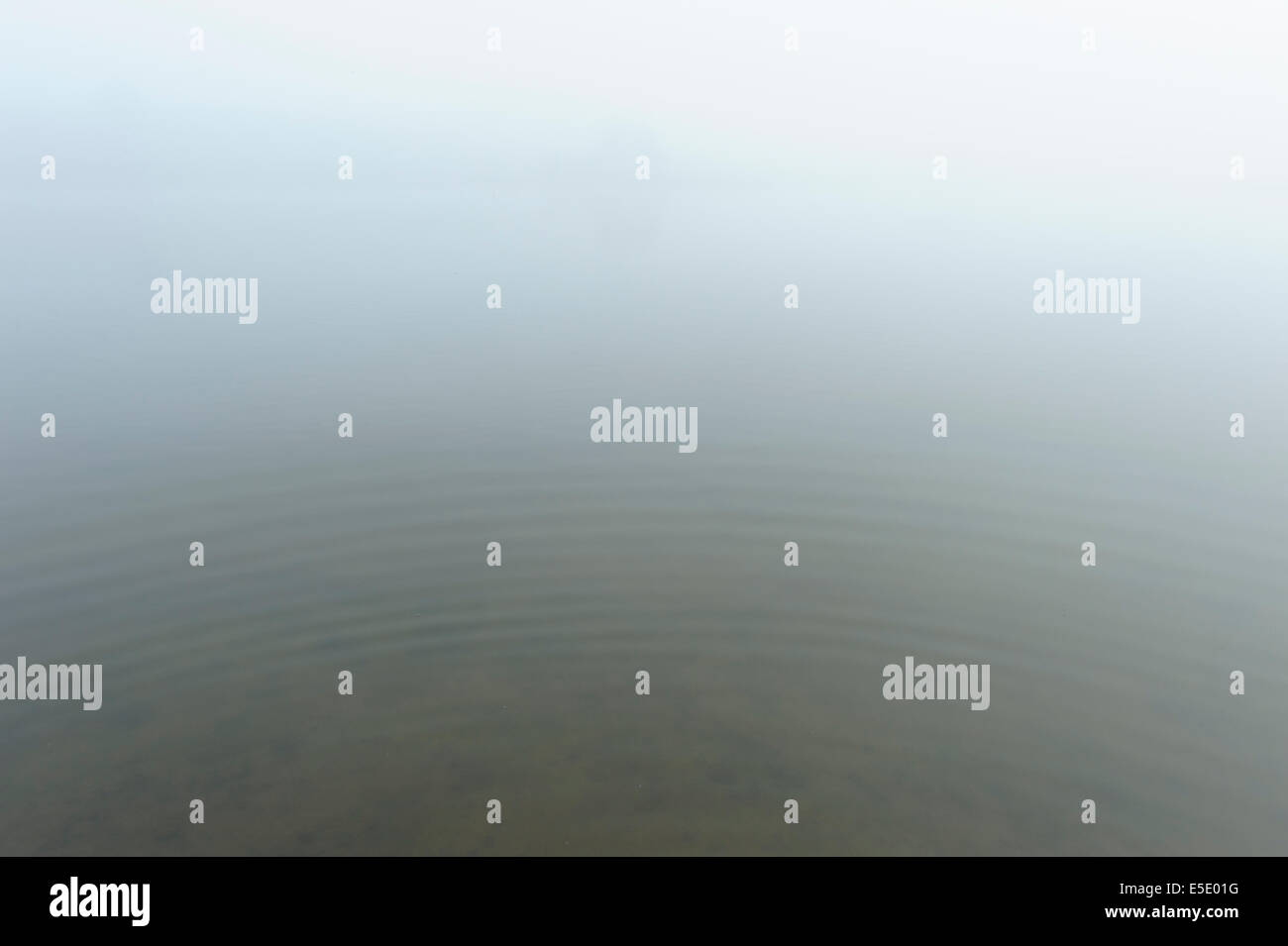 Pebble water ripples hi-res stock photography and images - Alamy