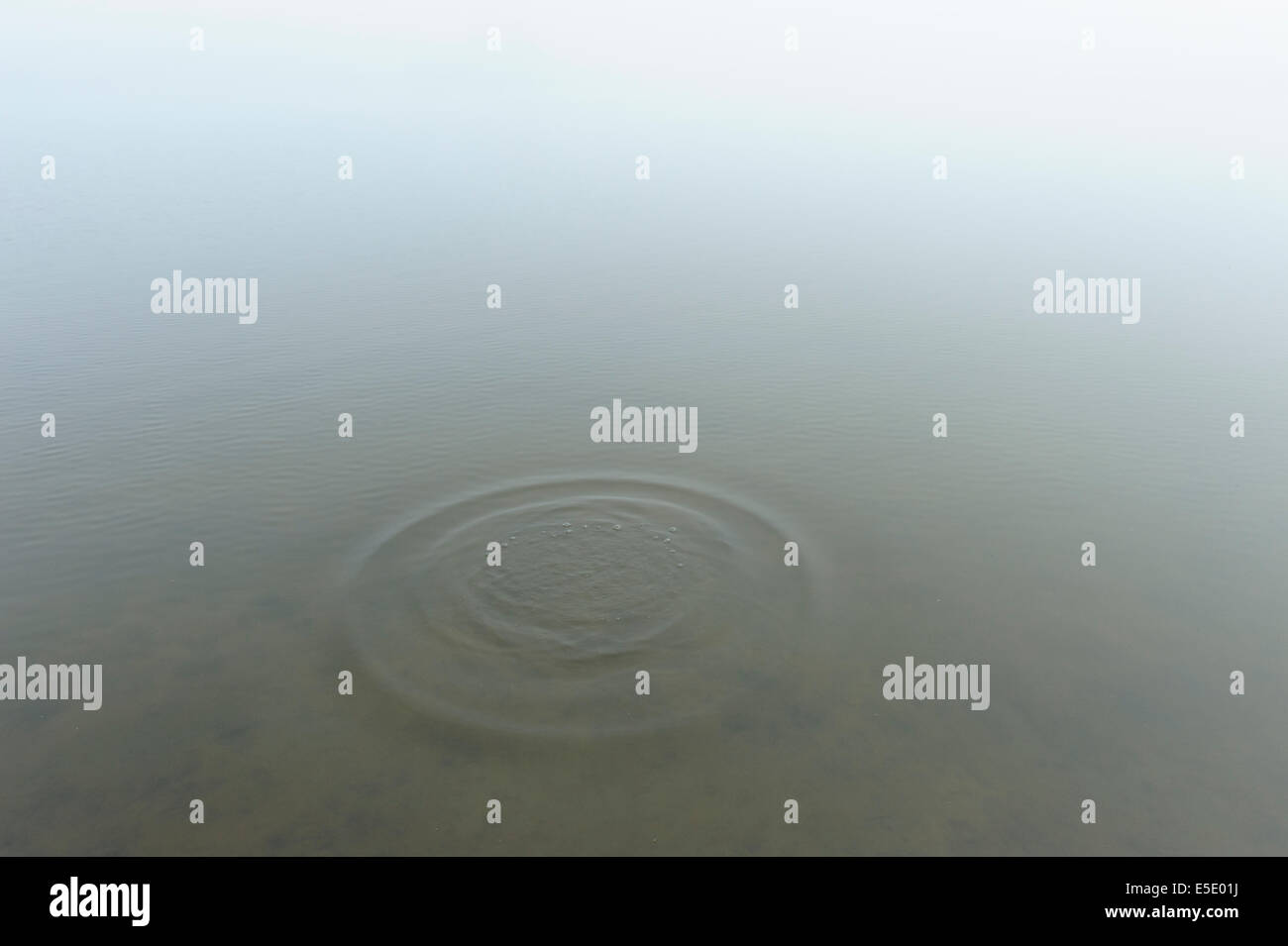 Pebble water ripples hi-res stock photography and images - Alamy