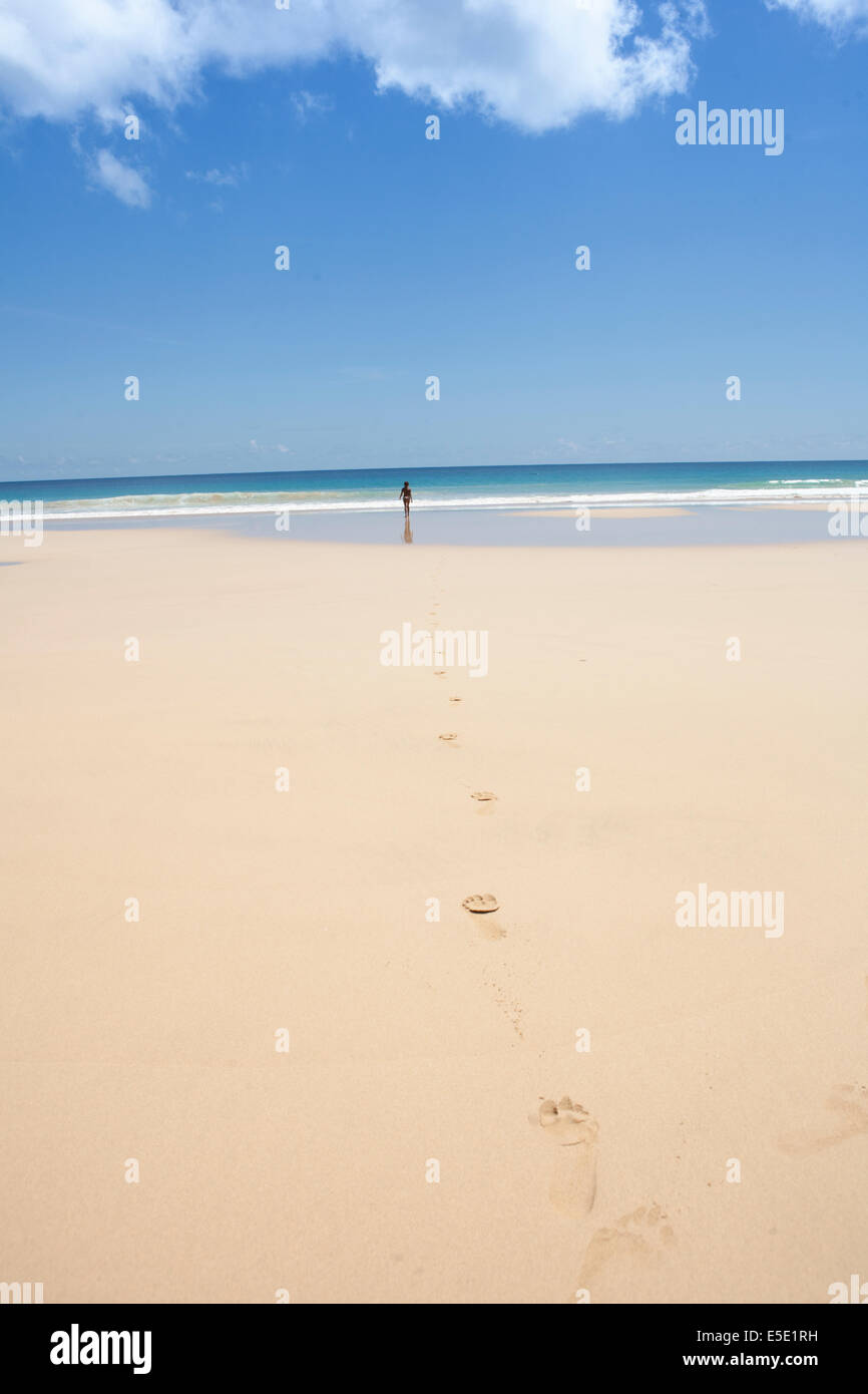 A distant figure walking along a pristine tropical beach Stock Photo ...