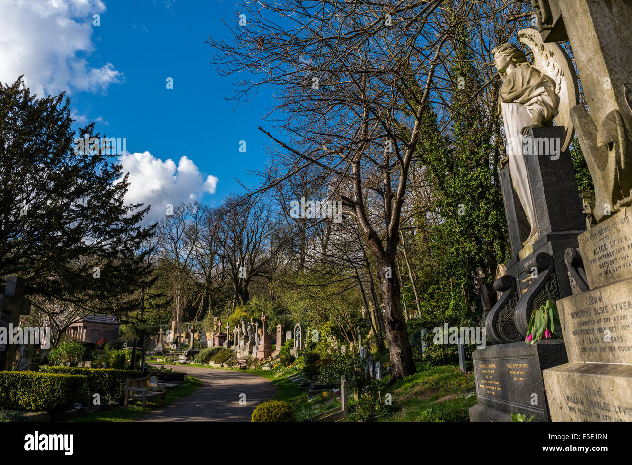 Angels at Highgate Cemetery. Highgate Cemetery is a place of burial in ...