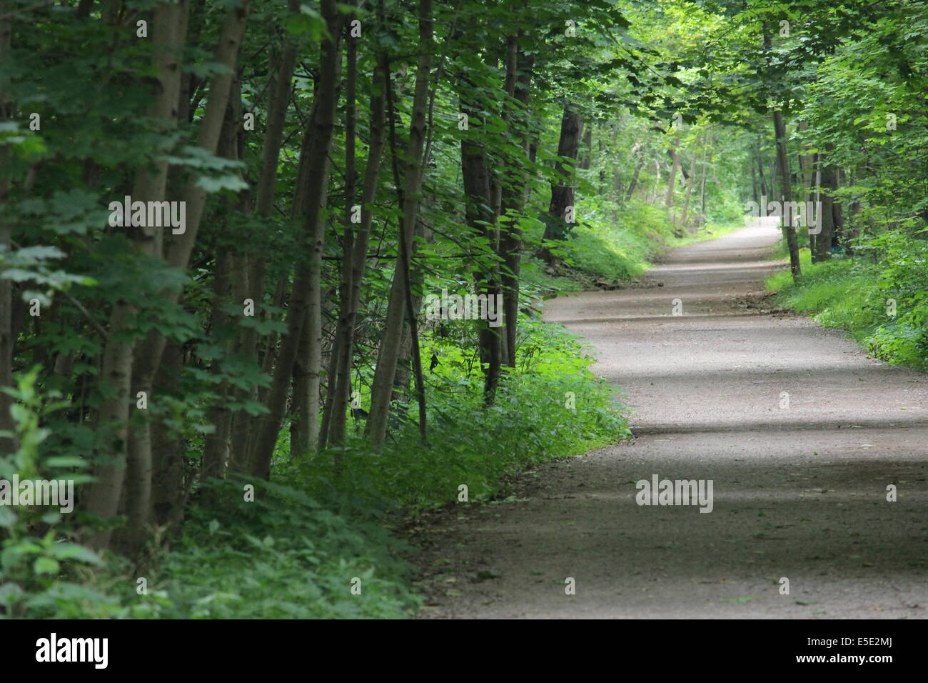 Empty green park hi-res stock photography and images - Alamy